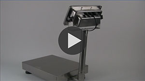 Balances and Scales from Cole-Parmer