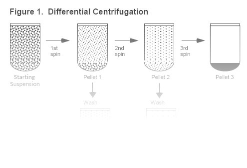 Bioprocessing Fluid Handling Applications from Cole-Parmer
