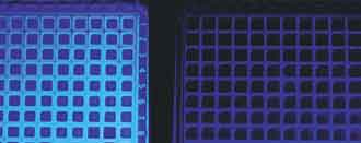 Nunc 384-Well Plate Design and Performance Evaluation from Cole-Parmer
