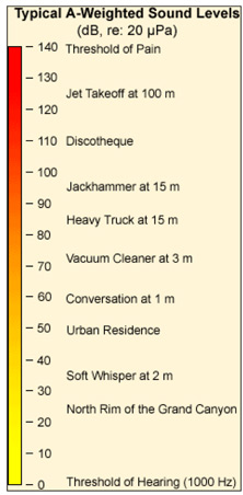 Occupational Noise Exposure from Cole-Parmer India