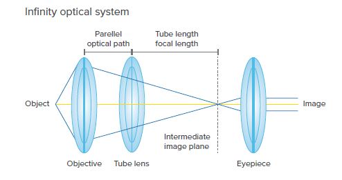 Microscope Optics
