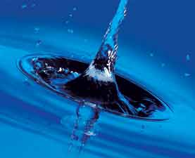 Testing the pH Value of Pure Water from Cole-Parmer India